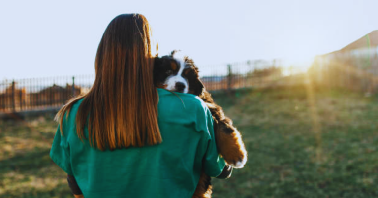 Hund abgeben: Tipps und Unterstützung für eine stressfreie Trennung [2025]