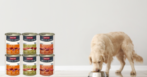 Animonda Hundefutter Test: Erfahrungen, Empfehlungen und beste Sorten ...