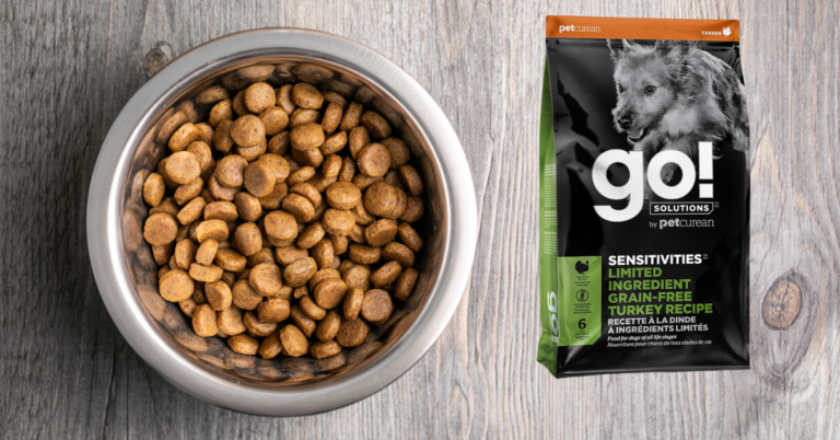 Hochwertiges Hundefutter Test: Die besten Marken für gesunde und ...